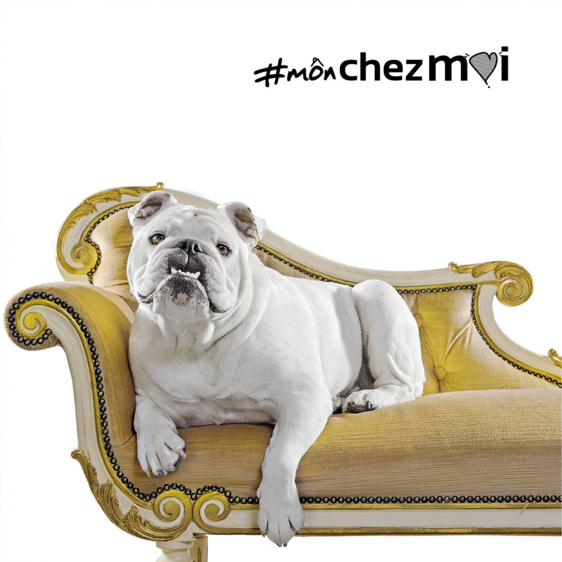 Construction de maison Cantal (15) - Raymond Raynal, Aurillac